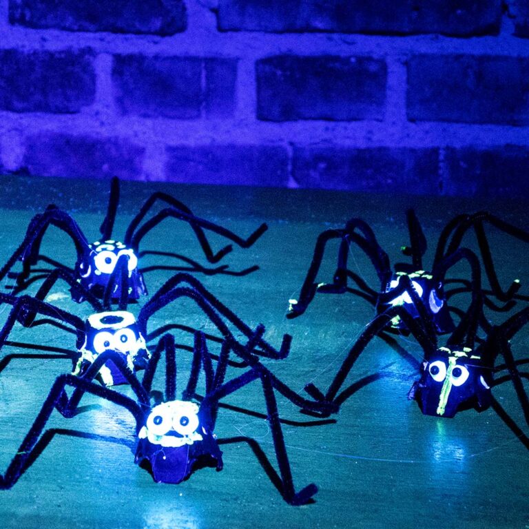 Spinnen basteln: 2 einfache Anleitungen - AUSGEFUXT